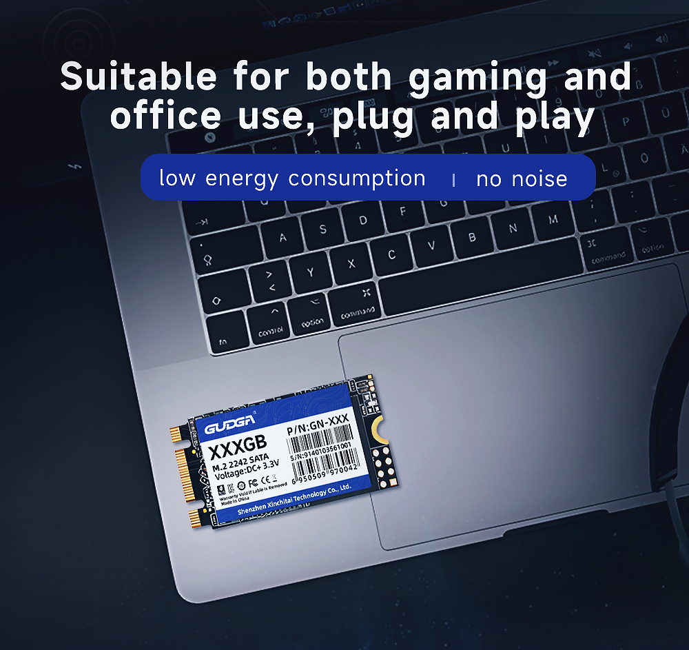 GUDGA SSD M2 SATA 22X42mm M.2 NGFF SATA SSD 64GB 128GB 256GB 512GB Internal Solid Hard State ...