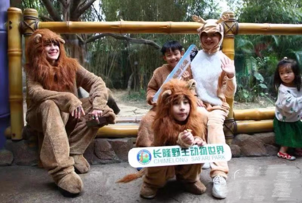 Adult Men Kids Cosplay Lion Costume Halloween Animal Role Play Hoodie ...