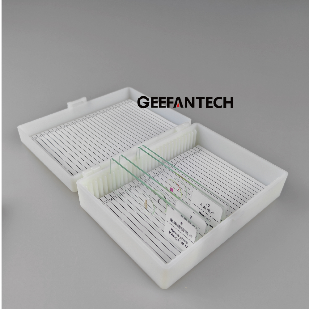 30 slots Biology Glass prepared Slides Storage Box Case Plastic ...