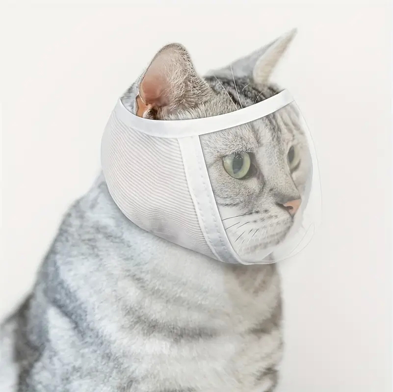 Shatterproof Transparent Cat Anti-bite Mask - Safe Grooming Solution ...