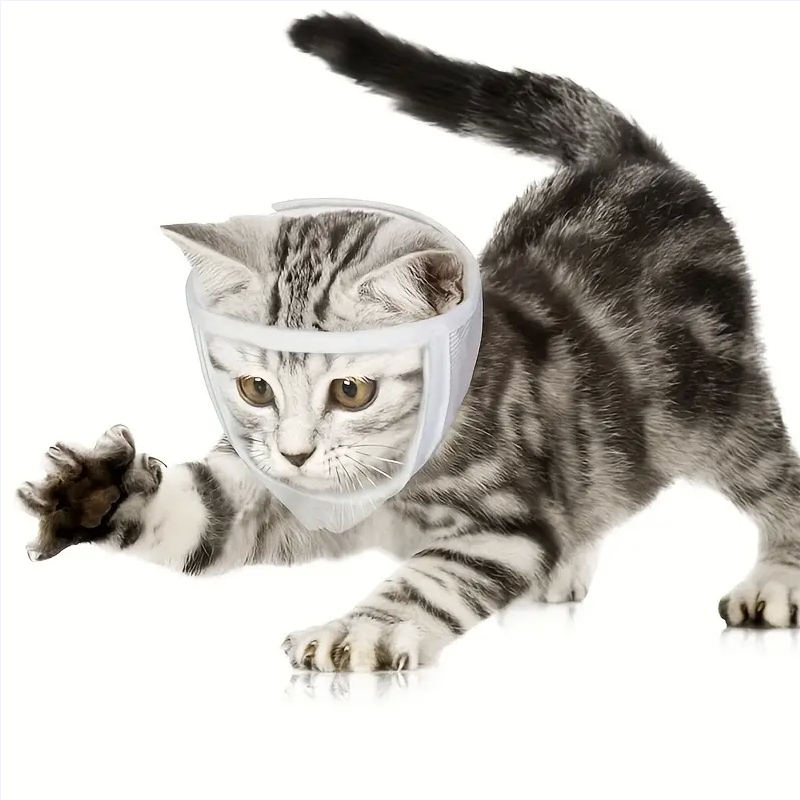 Shatterproof Transparent Cat Anti-bite Mask - Safe Grooming Solution ...