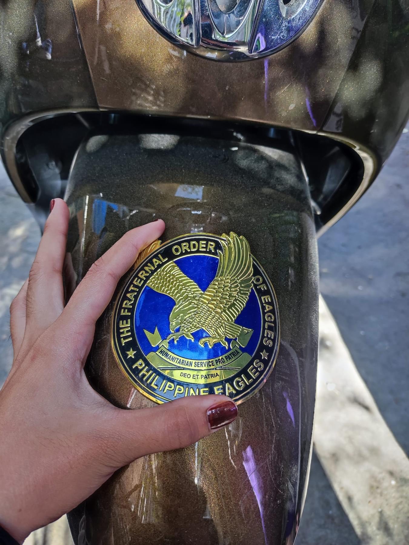 Bendable Car Sticker Fraternal Eagles Kuya Bull Emblem TFOE-PE ...