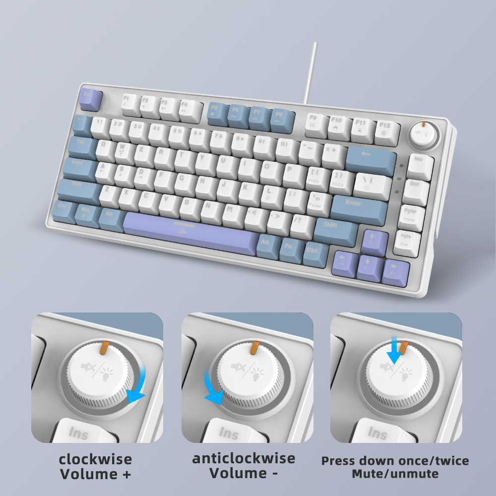 Zeus GD-88 Hot Swappable Mechanical Gaming Keyboard Wired 82 Keys Color ...