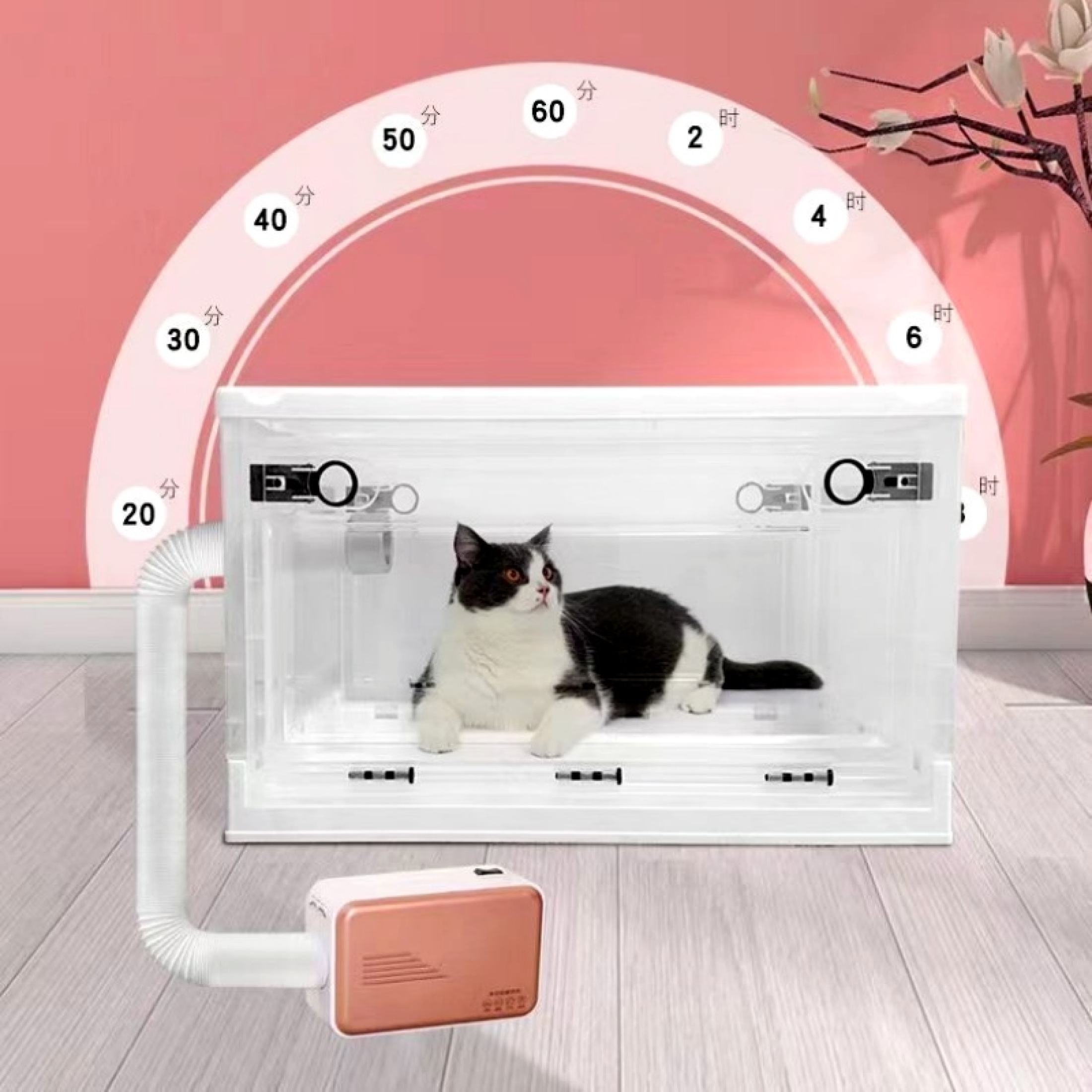 Pet Drying Box Large Space Foldable for Easy Storage Coat Drying ...