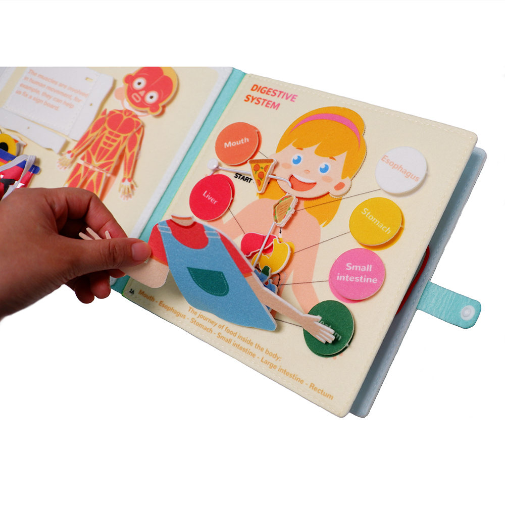 Montessori Human Body Parts With 3D Organs Human Anatomy Game Toy Book ...