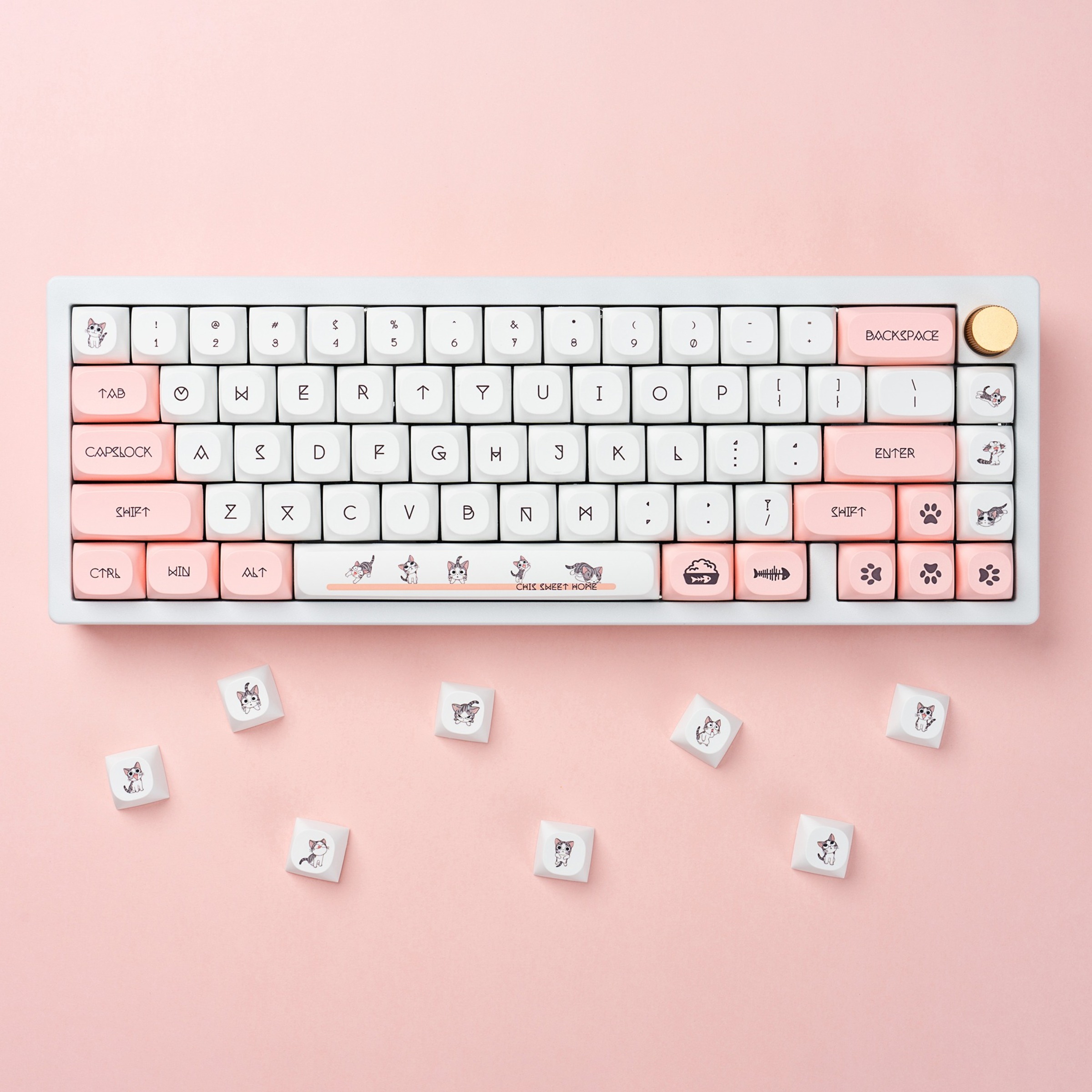 Blue Cat Keycaps PBT Dye-sub MA Profile Keycap Custom Keycaps ...