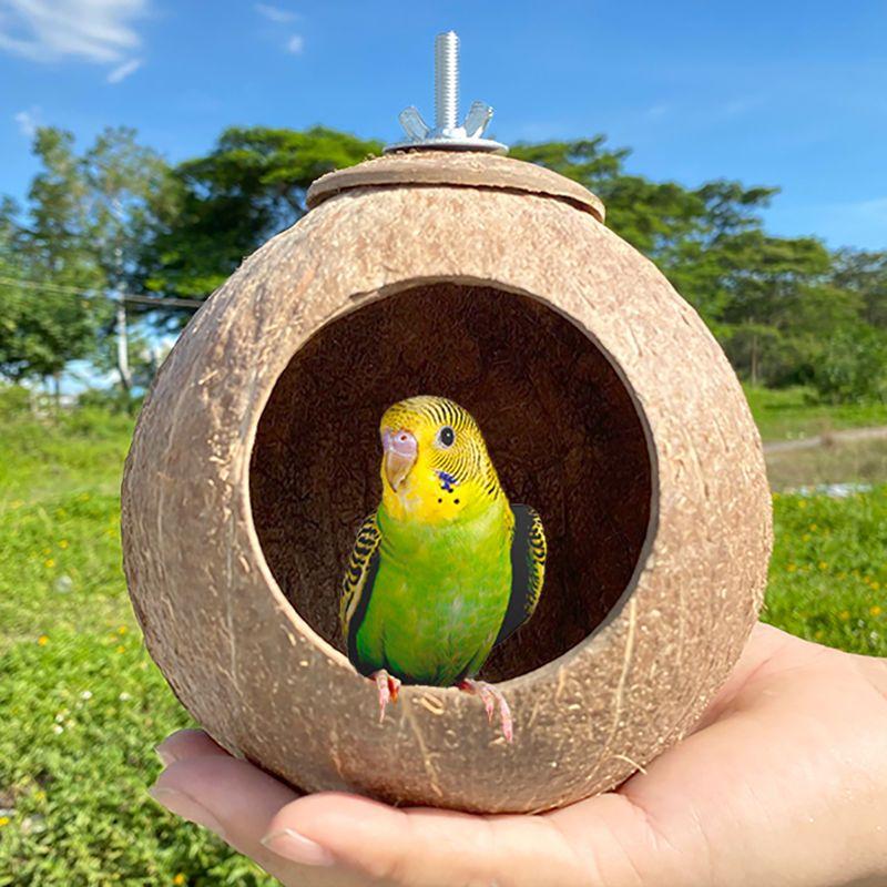 Natural Bird Nest Coconut Shell Bird House for Cockatiel Love Birds ...