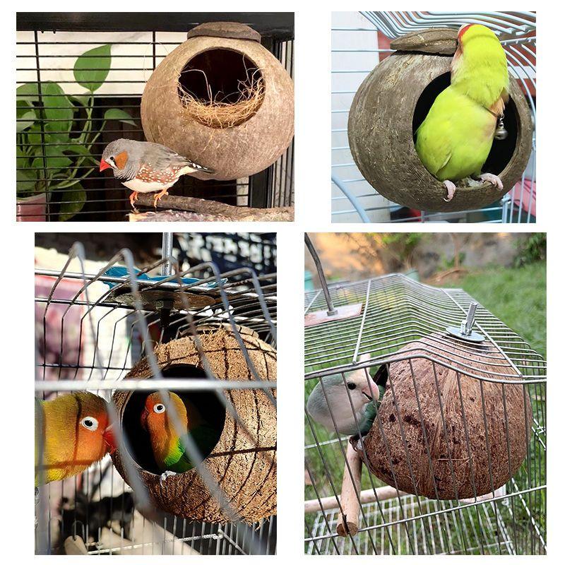 Natural Bird Nest Coconut Shell Bird House for Cockatiel Love Birds ...