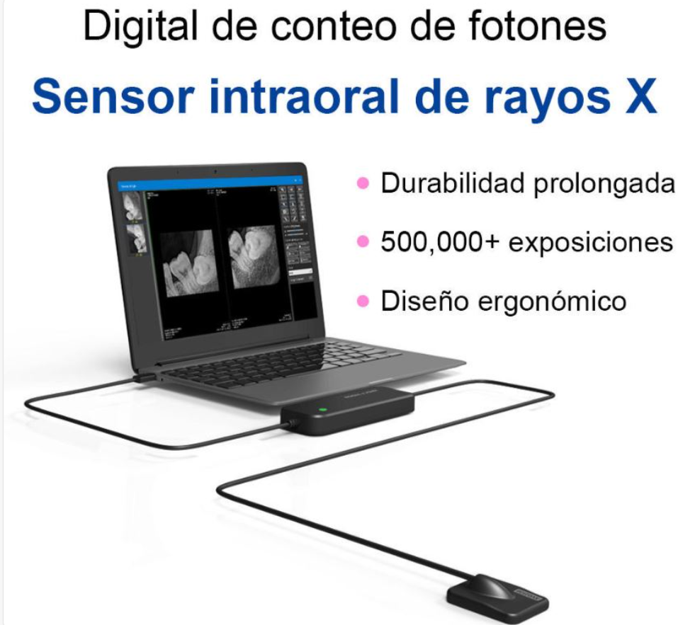 Dental Xray Sensor ECO Sensor Intraoral Digital X ray with Holders 2 ...