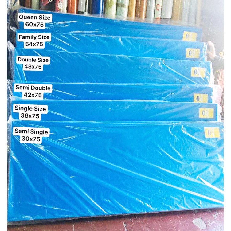 SUPER11 Matress Thicken Foam Mattress Single/Double/Queen/King 2/4 inch ...