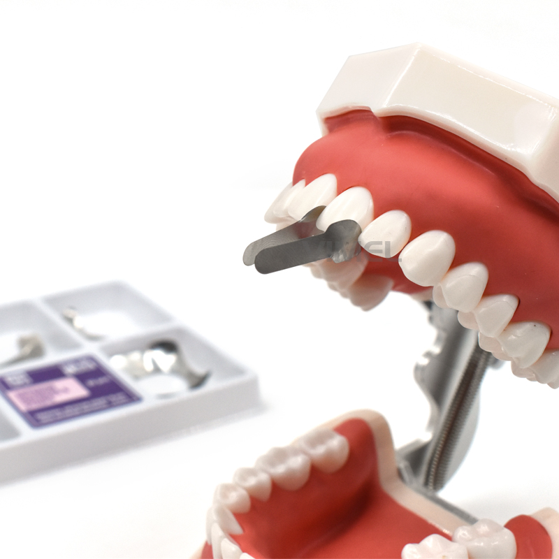 Dental Proximal Anterior Strips Twin Anterior Matrices Matrix Tooth ...