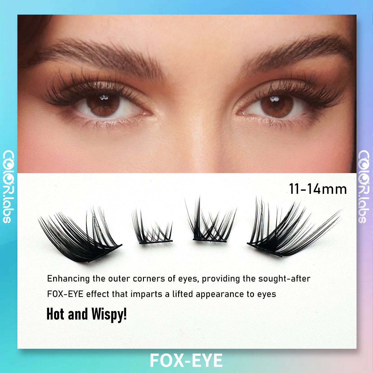 COLOR.labs Cat Fox Eyelash Extensions Wisp Book, 3 Lengths/Styles w ...