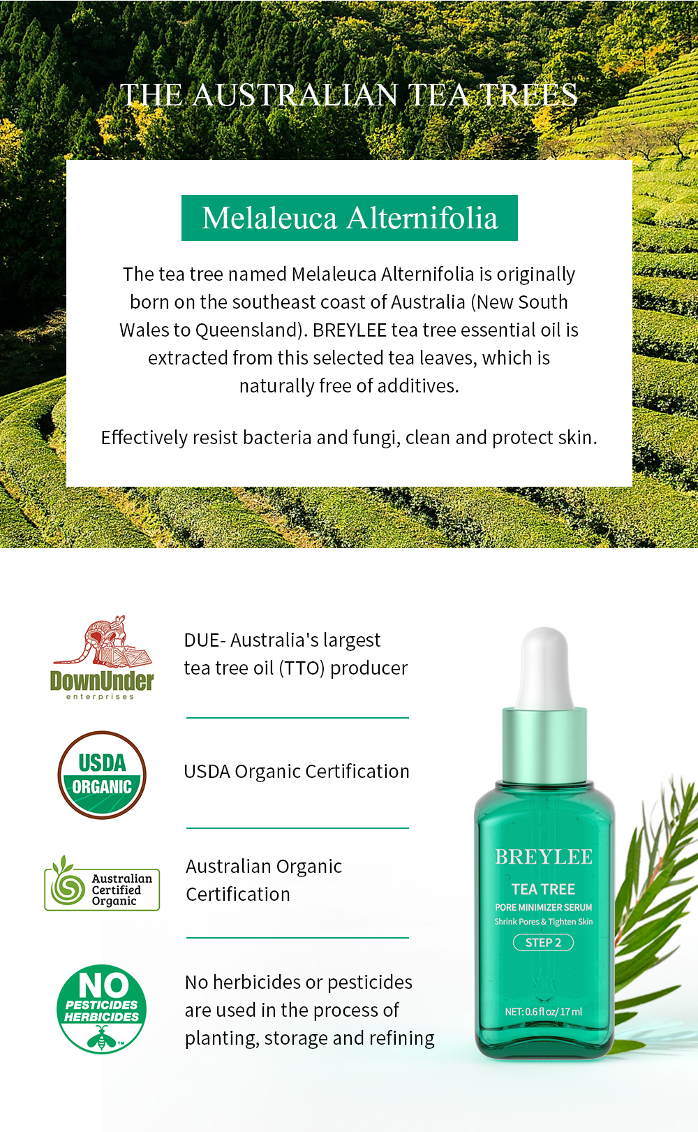 BREYLEE Step 2 Pore Refining Serum Shrink Pores Tightens Essence ...