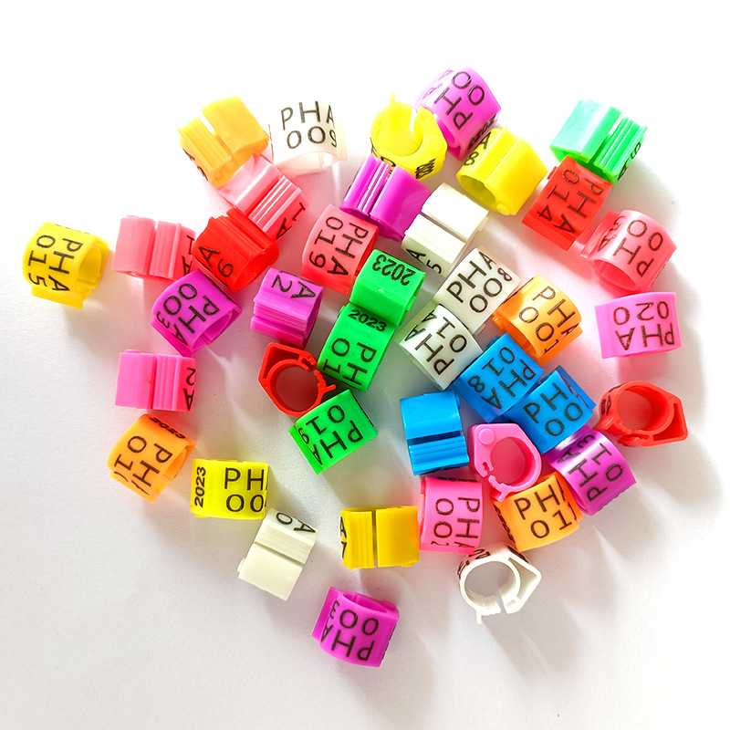 10/20Pcs 2025 PHA Pigeon Ring Oval 8mm Pigeon Leg Ring Bird Training ...