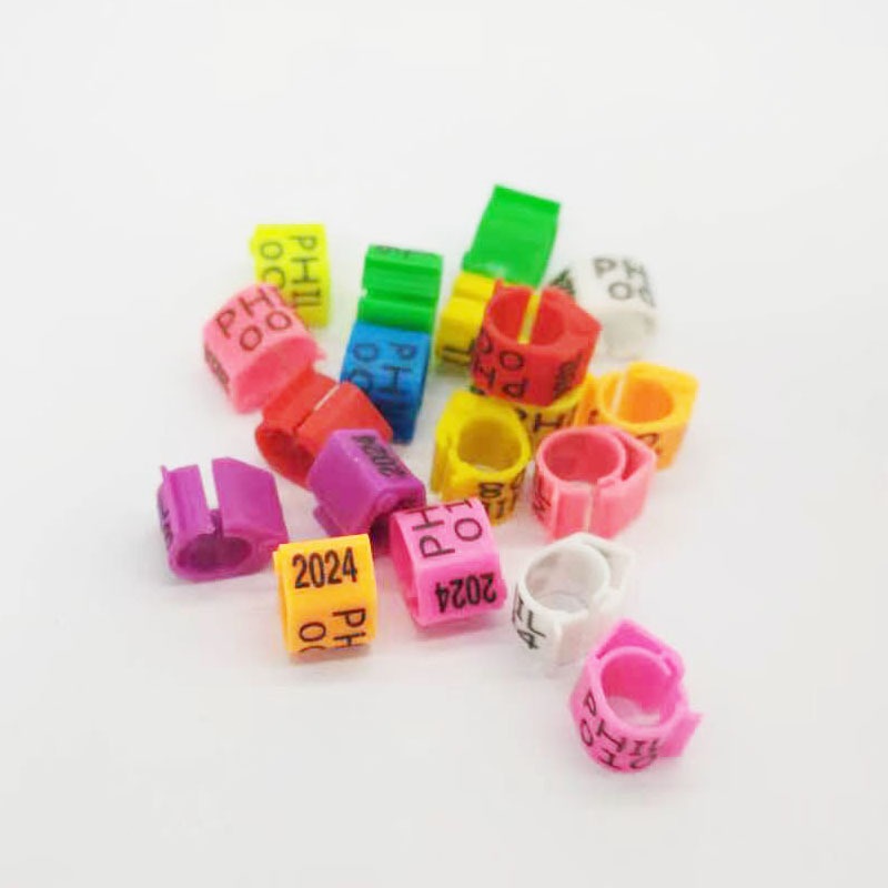 10/20Pcs 2025 PHA Pigeon Ring Oval 8mm Pigeon Leg Ring Bird Training ...