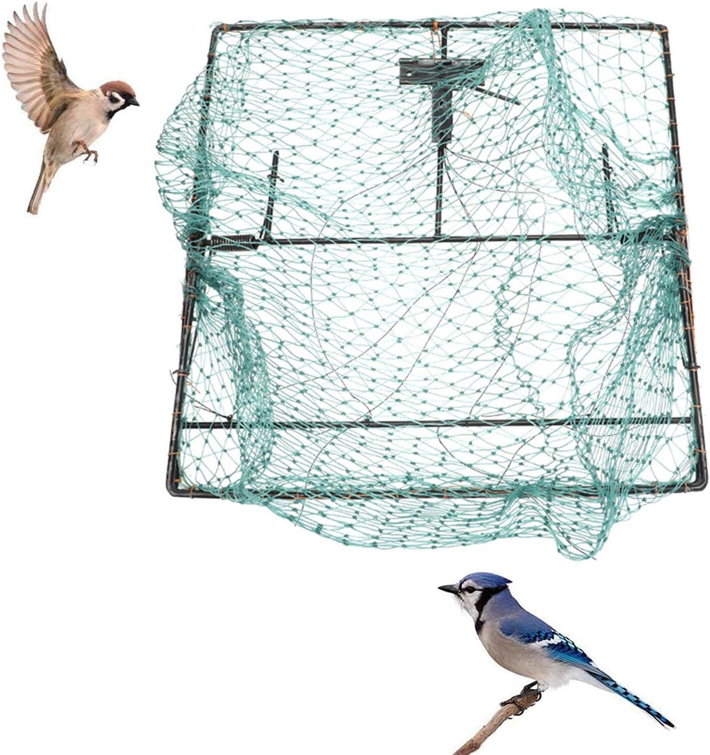 Automatic bird net Live trap for pigeon bird chicken Live catching trap ...