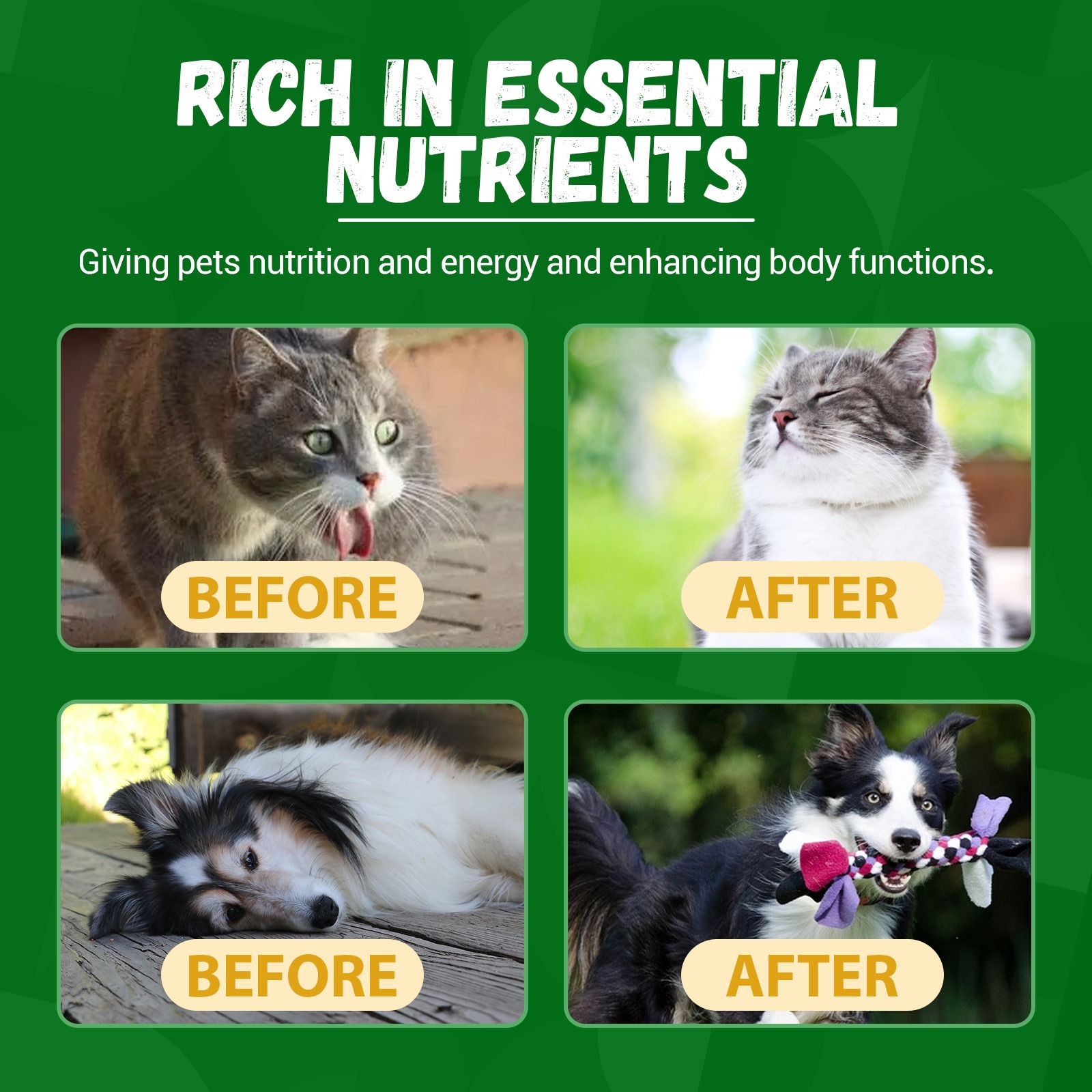 Pet Nutritional Supplement 60ML Supplement Trace Elements Enhancement ...