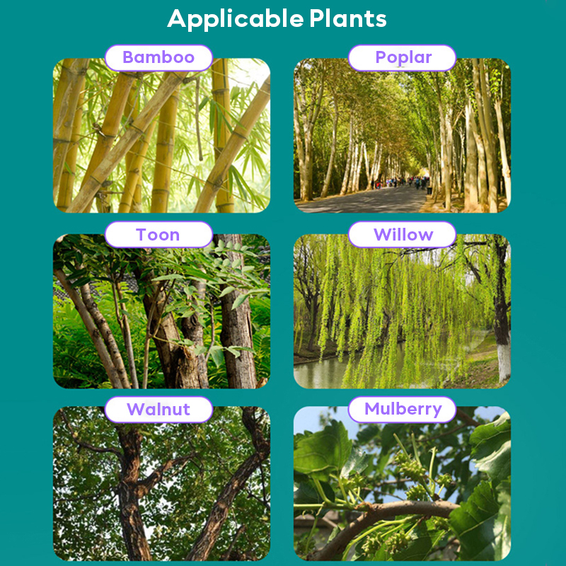 Effects Fast easily kill big trees and bamboo Contains 5% hexazone ...
