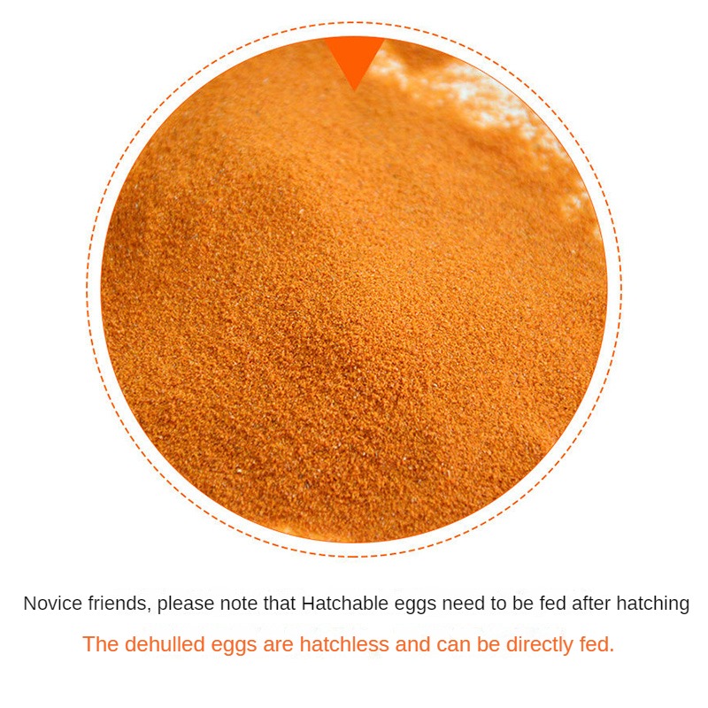 50g Decapsulated Baby Brine Shrimp Artemia Egg BBS for Unhatched Fish ...