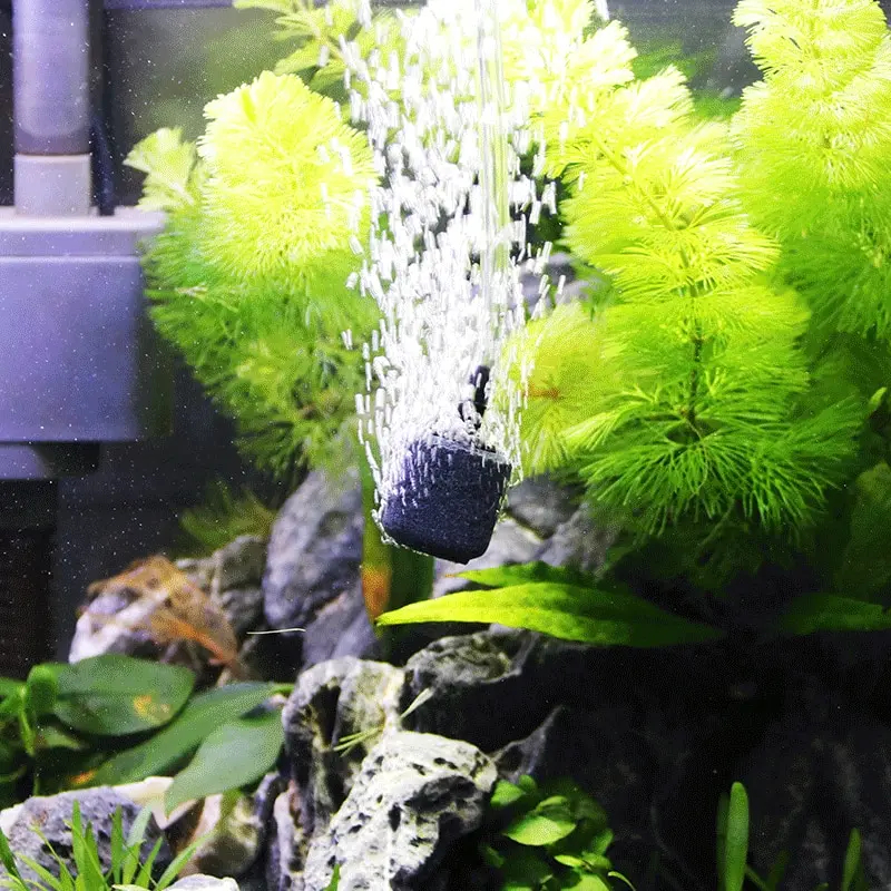 Air Bubble stone AIR STONE FOR AQUARIUM airstone Fish Tank cylindrical ...