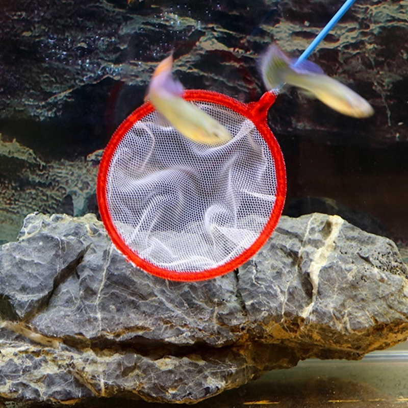 Shrimp Net and Fish Net Aquarium Colorful Round Fish Net for Daphnia ...