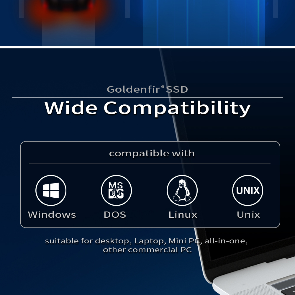 goldenfir 2.5 Internal ssd 120GB 128GB 240GB 360GB 256gb 480GB 500GB 512GB SSD for laptop ...