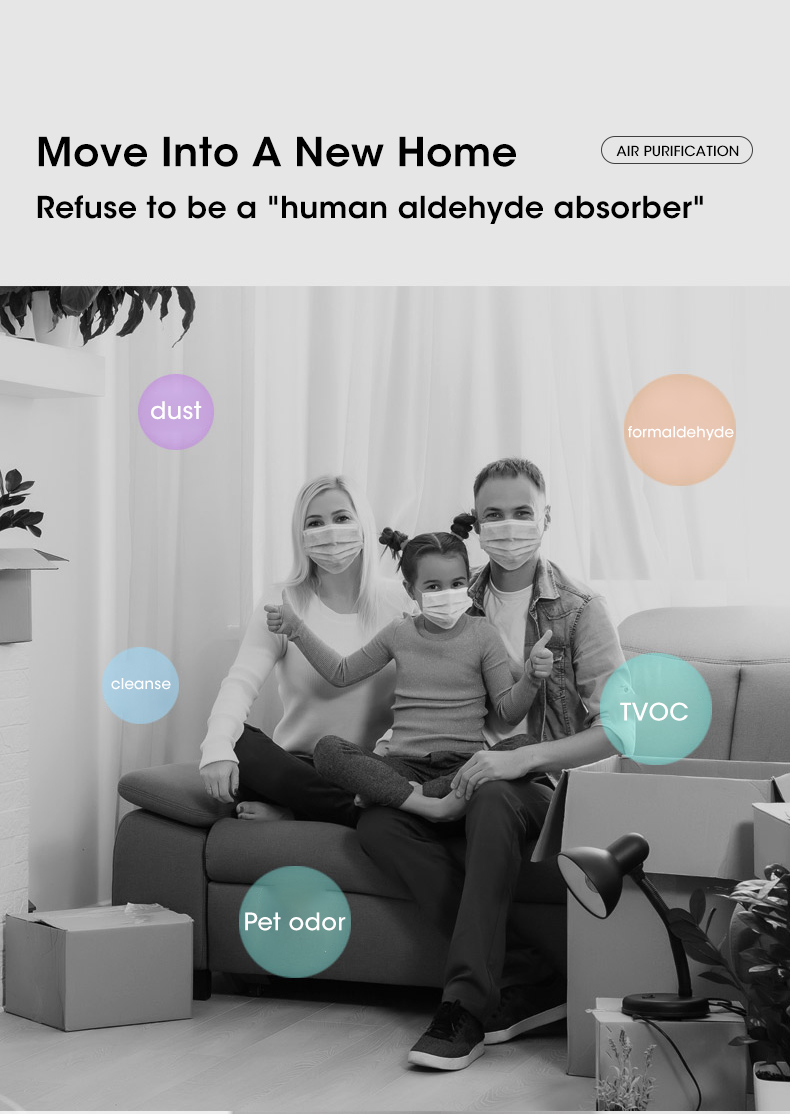 Mini Desktop Air Purifier HEPA Filtered Air Purified Air with Fragrance Negative Ion Purifier ...