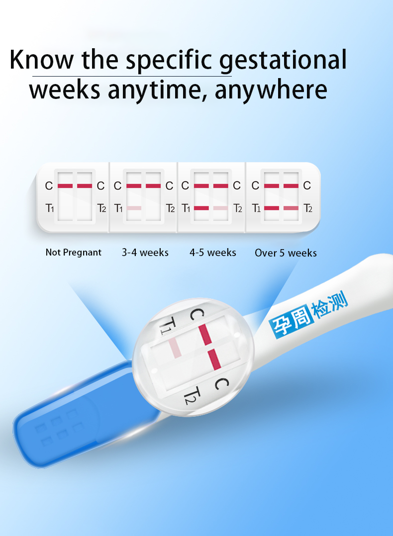佳乐僖 Early Pregnancy Test Pen Gestational Weeks Test Kit Pregnancy Weeks ...