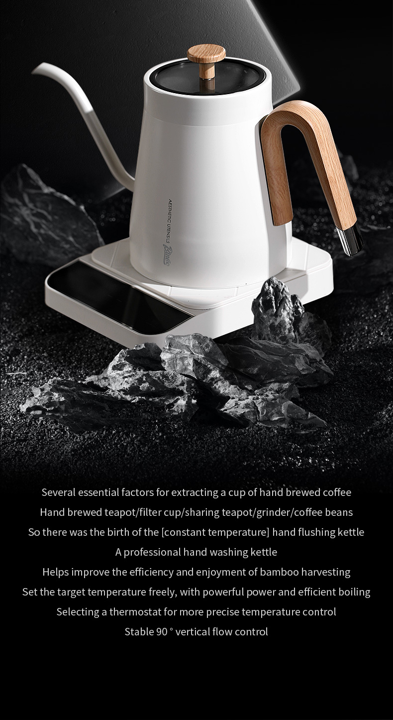 BINCOO Constant Temperature Hand Brewed Coffee Pot Electric Kettle ...