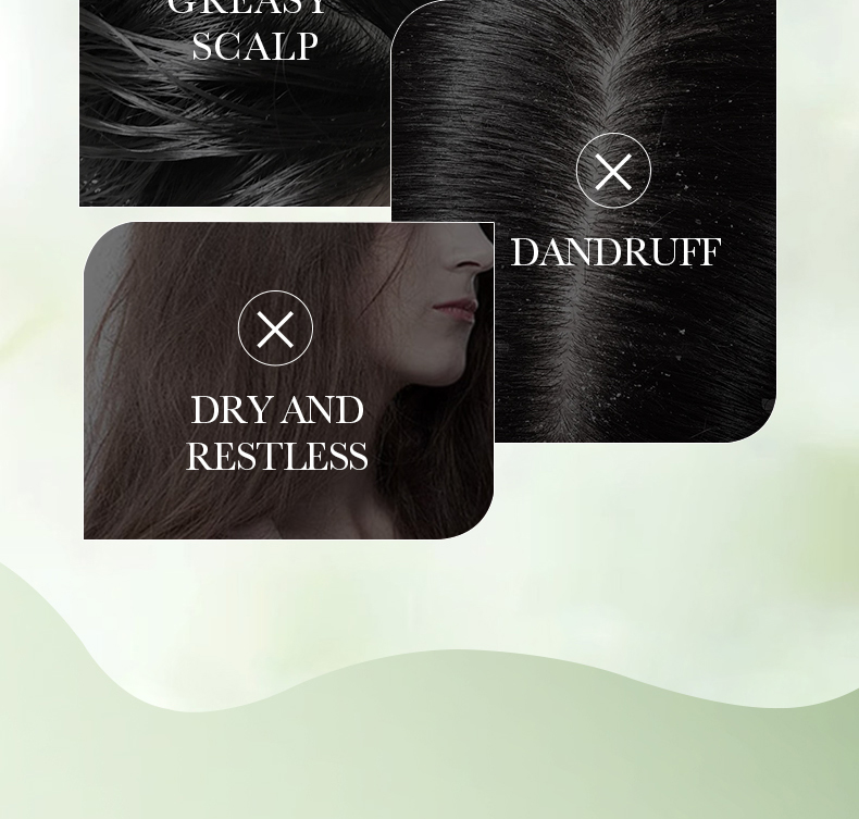 SADOER Original Olive Oil Anti Dandruff Shampoo 500ML Anti-itchin Men & Women Anti Hair Loss ...