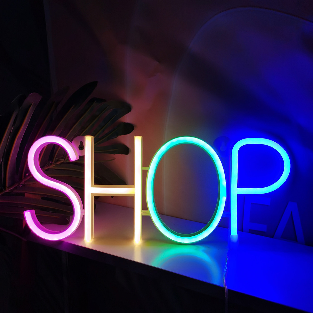 Shop Neon Light LED Letter Neon Light Battery/USB Power Supply SHOP ...