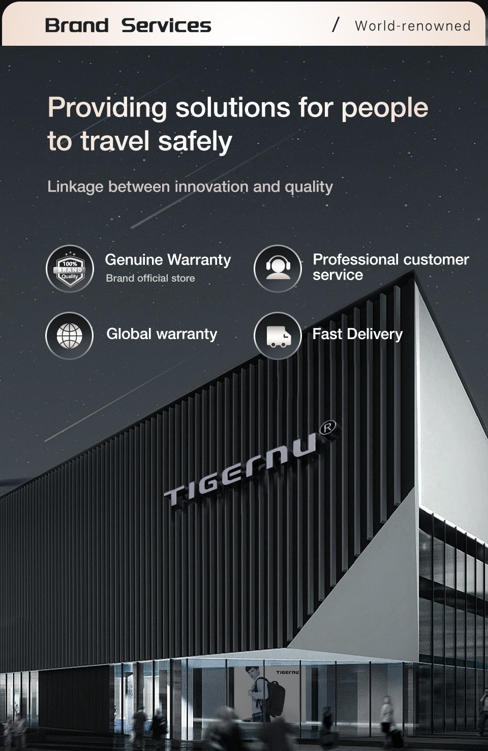 Tigernu 001 Convenient Small Combination Code Lock Padlock | Shopee ...