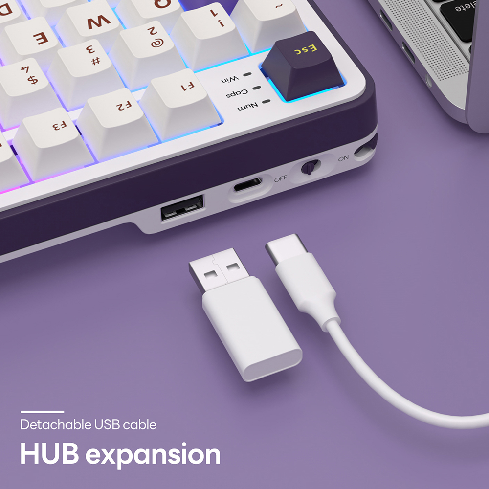 New Royal Kludge RK S98 Blackberry 98 Key Tri-Mode RGB Wired Bluetooth ...