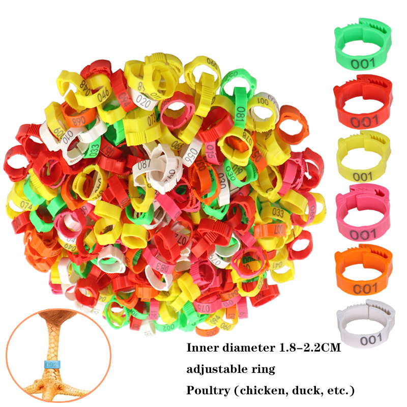 50/100Pcs Chicken leg band Adjustable chicken leg rings Gamefowl ...