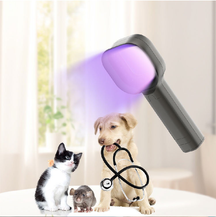 Woods Light Skin Examination For Cat Dog Ringworm Handheld UV Wood's ...