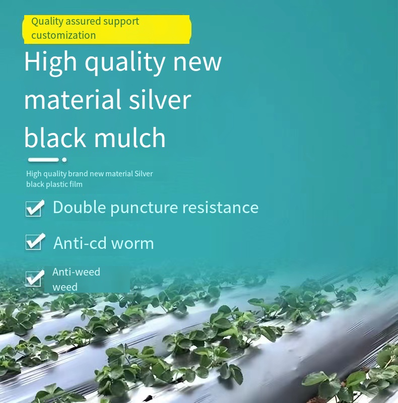 【COD】Plastic Mulch [ JAPAN - SUN QULITY ] 4ft x 400m (1.2m) SILVER ...