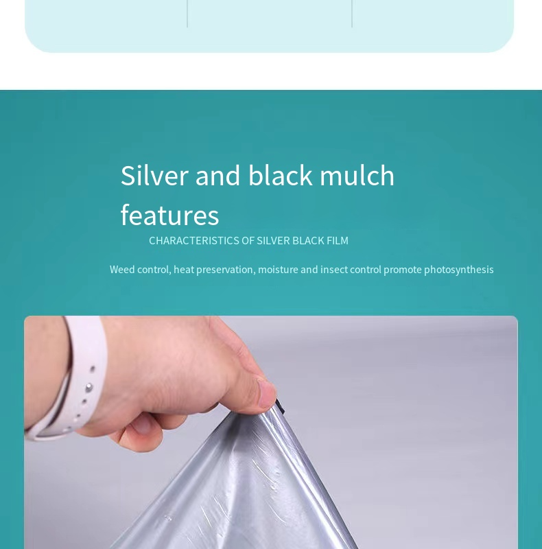 【COD】Plastic Mulch [ JAPAN - SUN QULITY ] 4ft x 400m (1.2m) SILVER ...