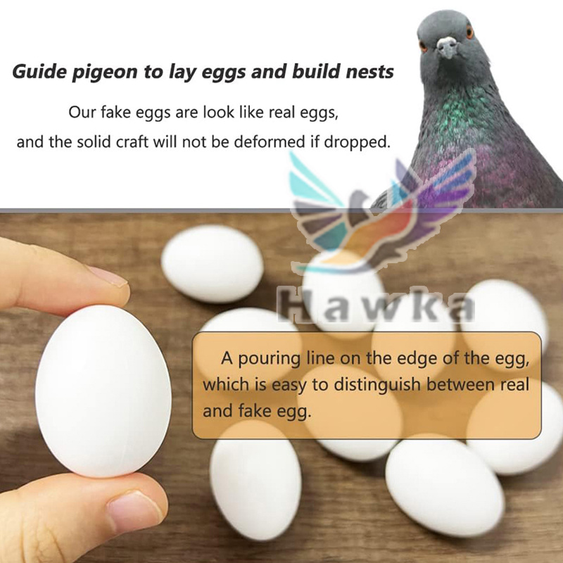 Fake Pigeon Egg Dummy egg smooth Plastic solid plastic Eggs for racing ...