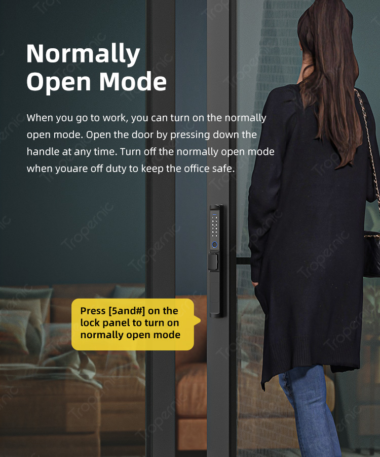 【24h Ship Out】Tuya/TTLOCK Sliding Door Lock Waterproof Smart Door Lock ...