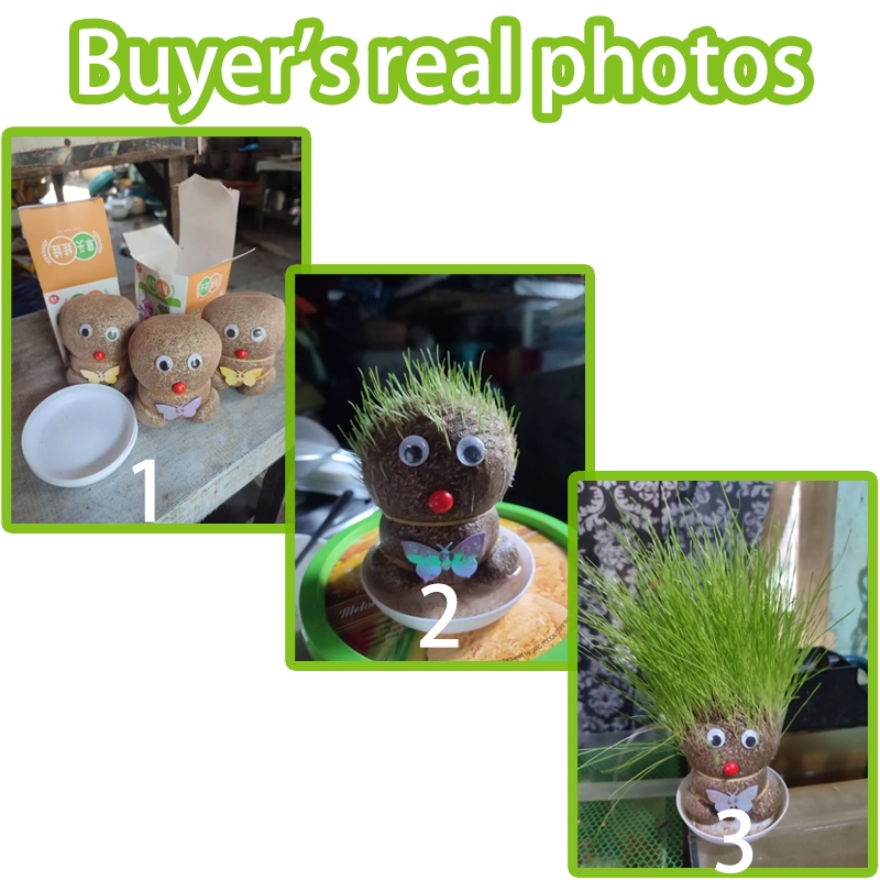 Office Table Plant Decor grass heads doll Toys growing grass head doll ...