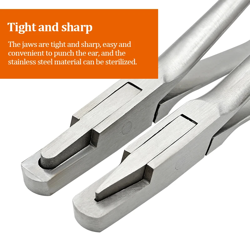 Stainless piglet ear notcher Ear hole pliers punching clamp for animal ...