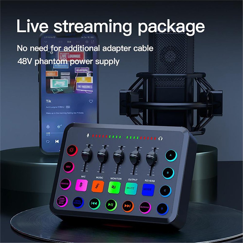 X100 Sound Card Audio Mixer Microphone Set 48V XLR Audio Interface for ...