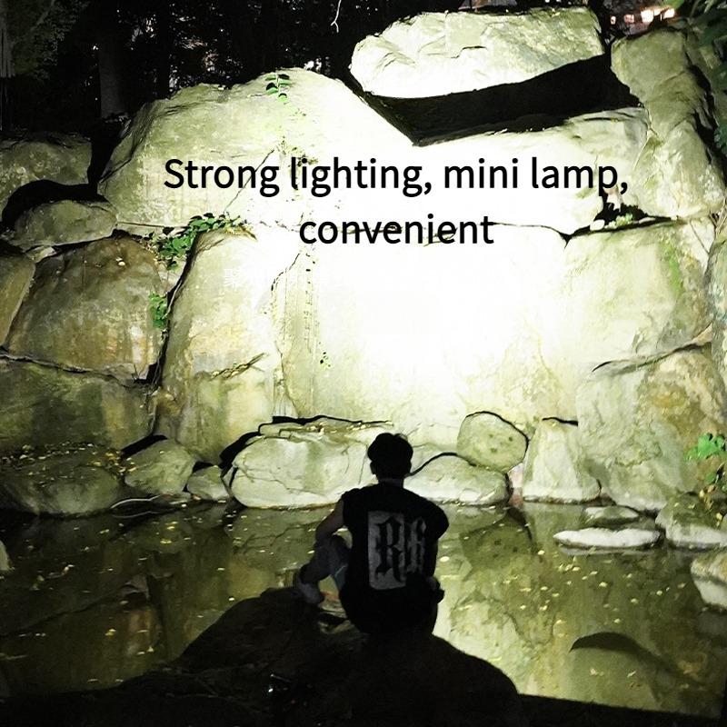 Smiling Shark TIP0060 Mini Work Light Led Super Bright Keychain Light ...