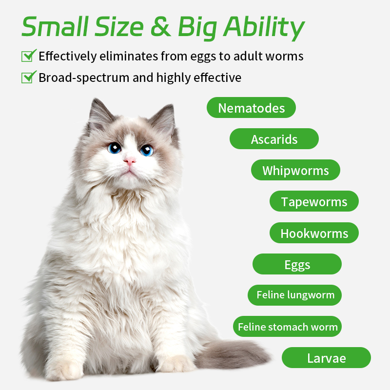 [Local Delivery]Xvet Dr. Tasty Dewormer Tablets Pet Dewormer for Cat ...