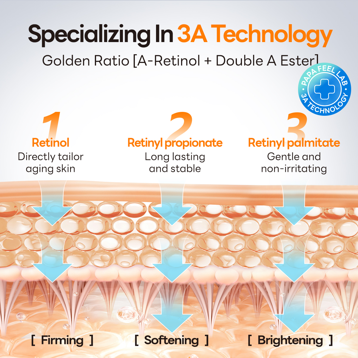 PAPA FEEL【Morning C Night A Cream】Morning Barrier Repair Moisturizer ...