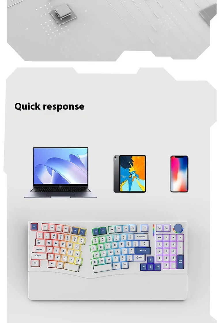VTER&FEKER Alice98pro ergonomic mechanical keyboard, 3 ° slope full key ...
