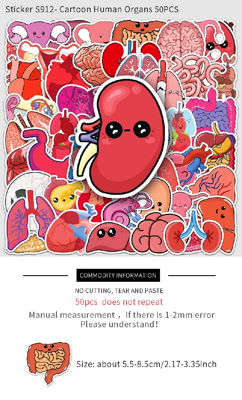 50pcs Cartoon Red Human Body Organ Sticker Anatomy Map Decal DIY Water ...