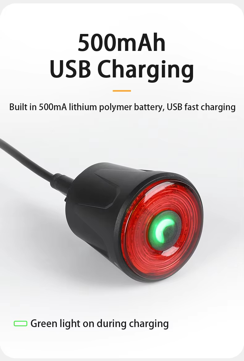 ESLNF Bicycle Tail Light Smart Brake Light with 2 mounts Waterproof USB ...
