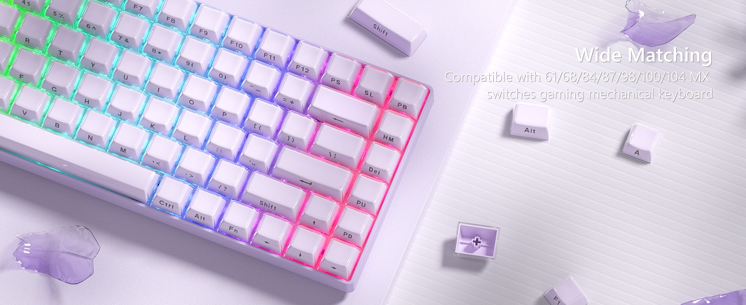 WOMIER Crystal Jelly Keycaps 113 Keys OEM Profile Keycaps for 61/68/84 ...