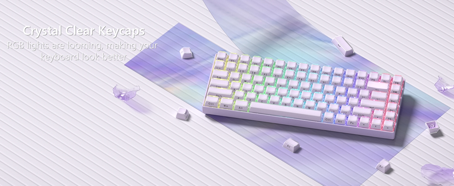 WOMIER Crystal Jelly Keycaps 113 Keys OEM Profile Keycaps for 61/68/84 ...